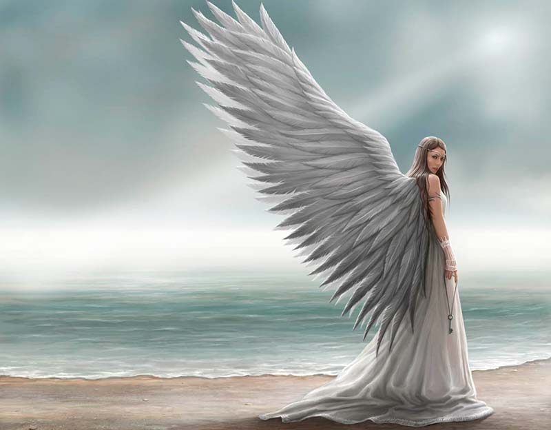 Anne Stokes Official Site - Gothic & Fantasy Art